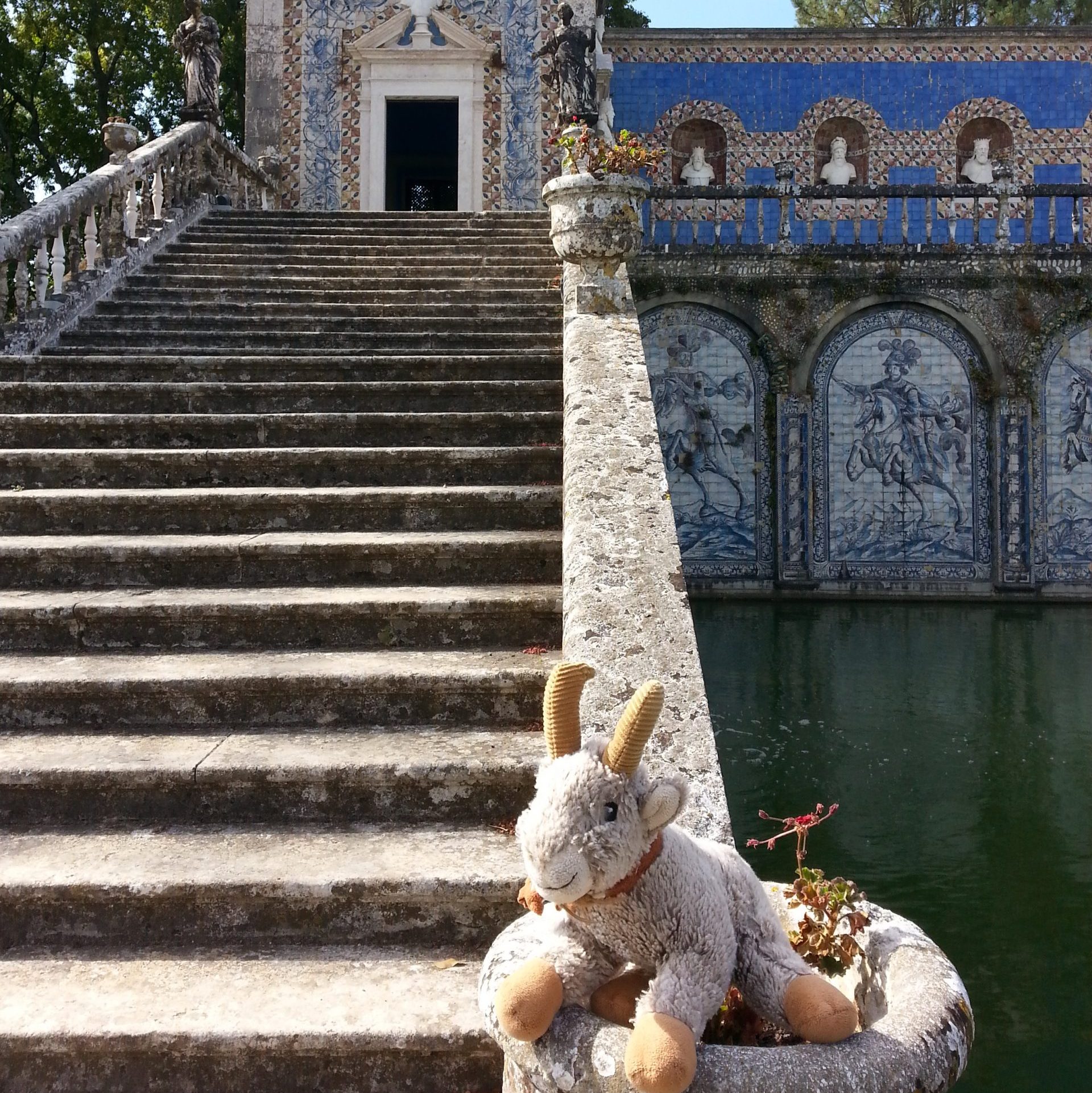 Le chevreau au vieux Bayeux – Cabri
