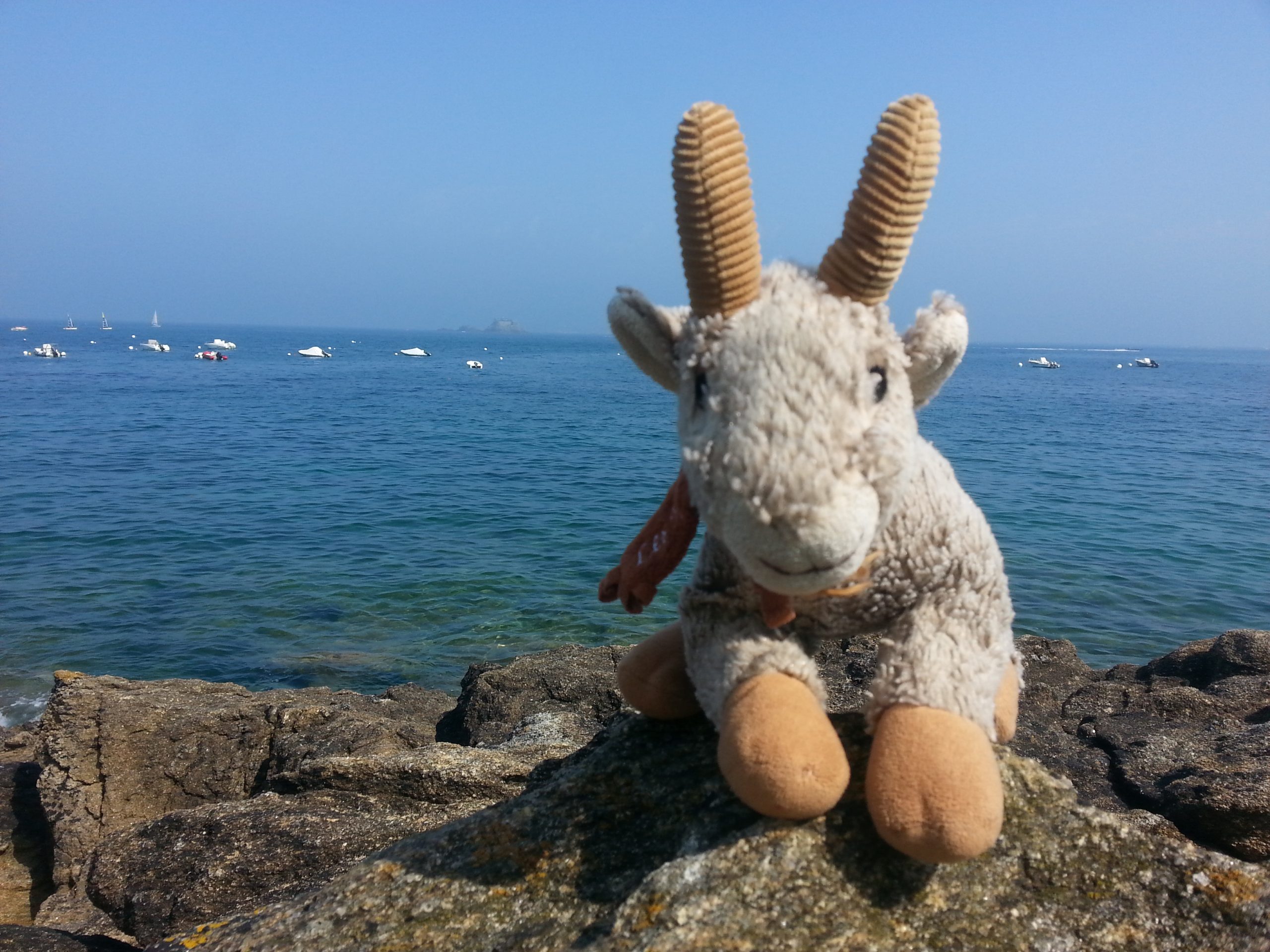 Le chevreau et les bains de mer / Goat & sea / Cabrito al baño de mar ...