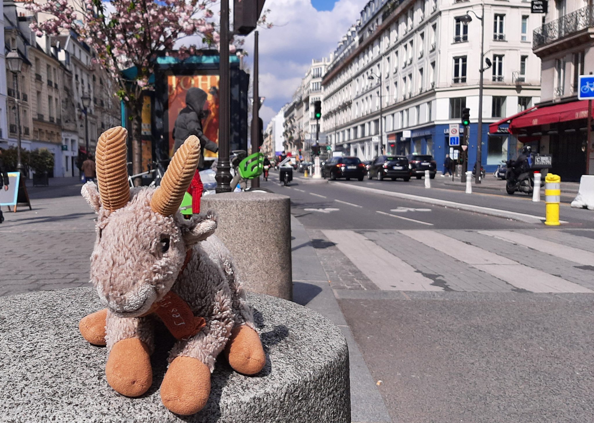 Le Chevreau à Paris, Goat in #Paris. En #París ; Cabra parisenca. – Cabri