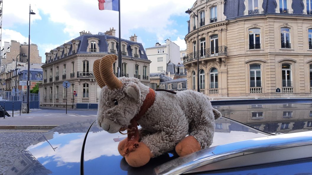 Le Chevreau à Paris, Goat in #Paris. En #París ; Cabra parisenca. – Cabri
