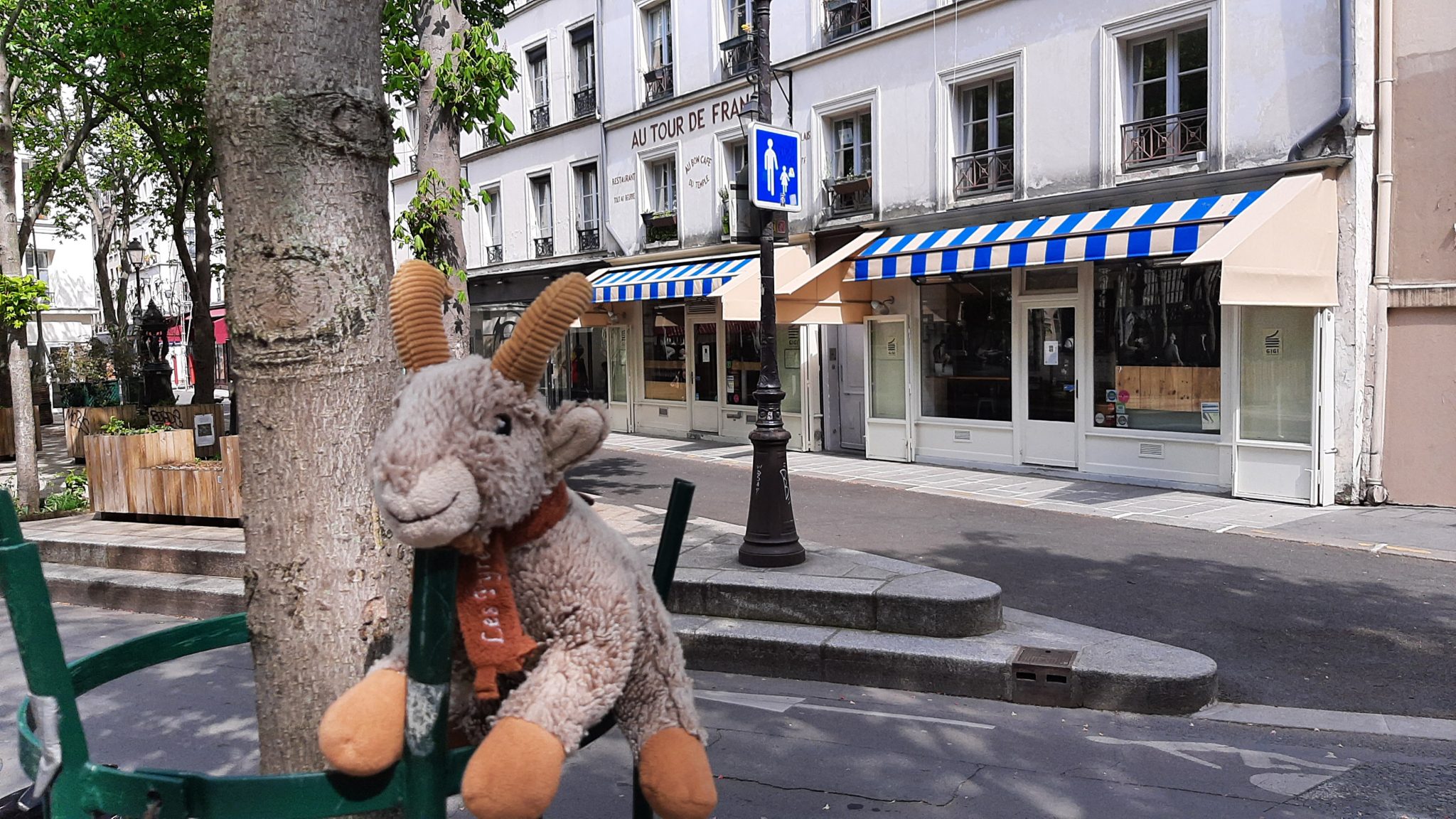 Le Chevreau à Paris, Goat in #Paris. En #París ; Cabra parisenca. – Cabri